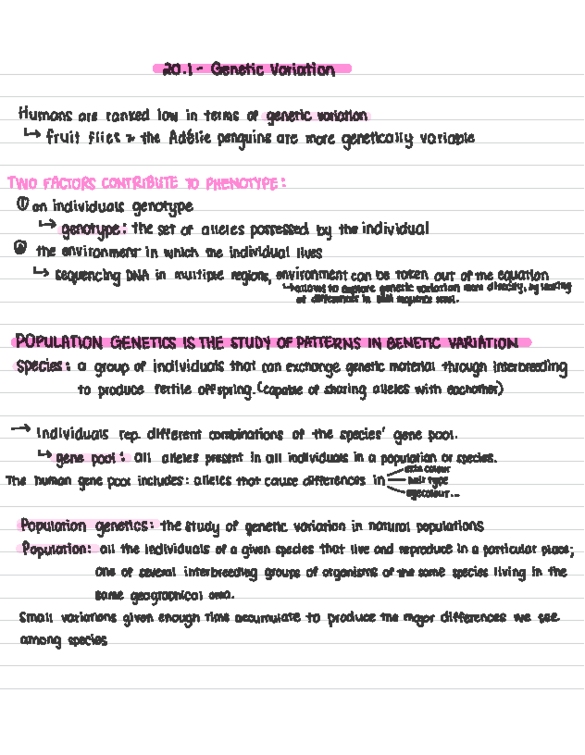 Chapter 20 textbook Evolution Notes - 1 - Genetic Variation Humans are ...