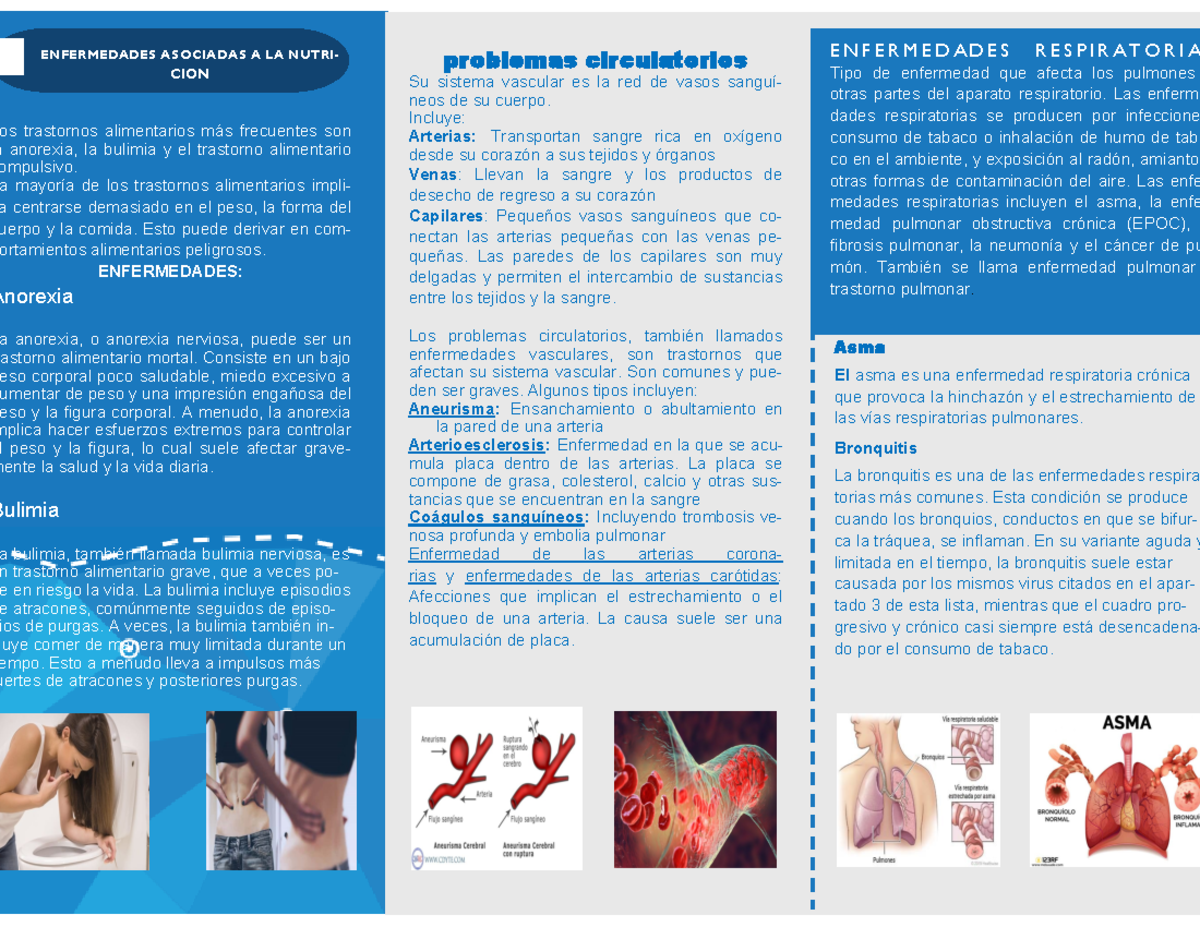 Alison Palma Ciencias Naturales - problemas circulatorios Su sistema ...