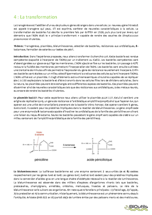 Poly TD-2015-2016 - travaux dirigés - TRAVAUX DIRIGES BIOLOGIE MOLECULAIRE (HLBI307) L 2015 ...