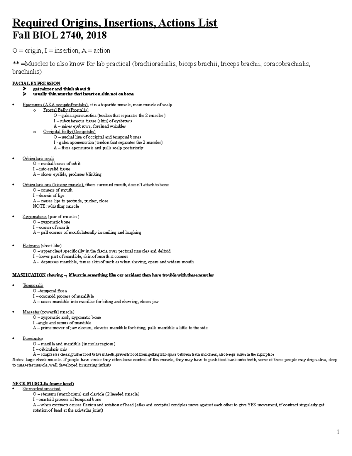 Muscle Origin Insertion Action LIST - Required Origins, Insertions ...