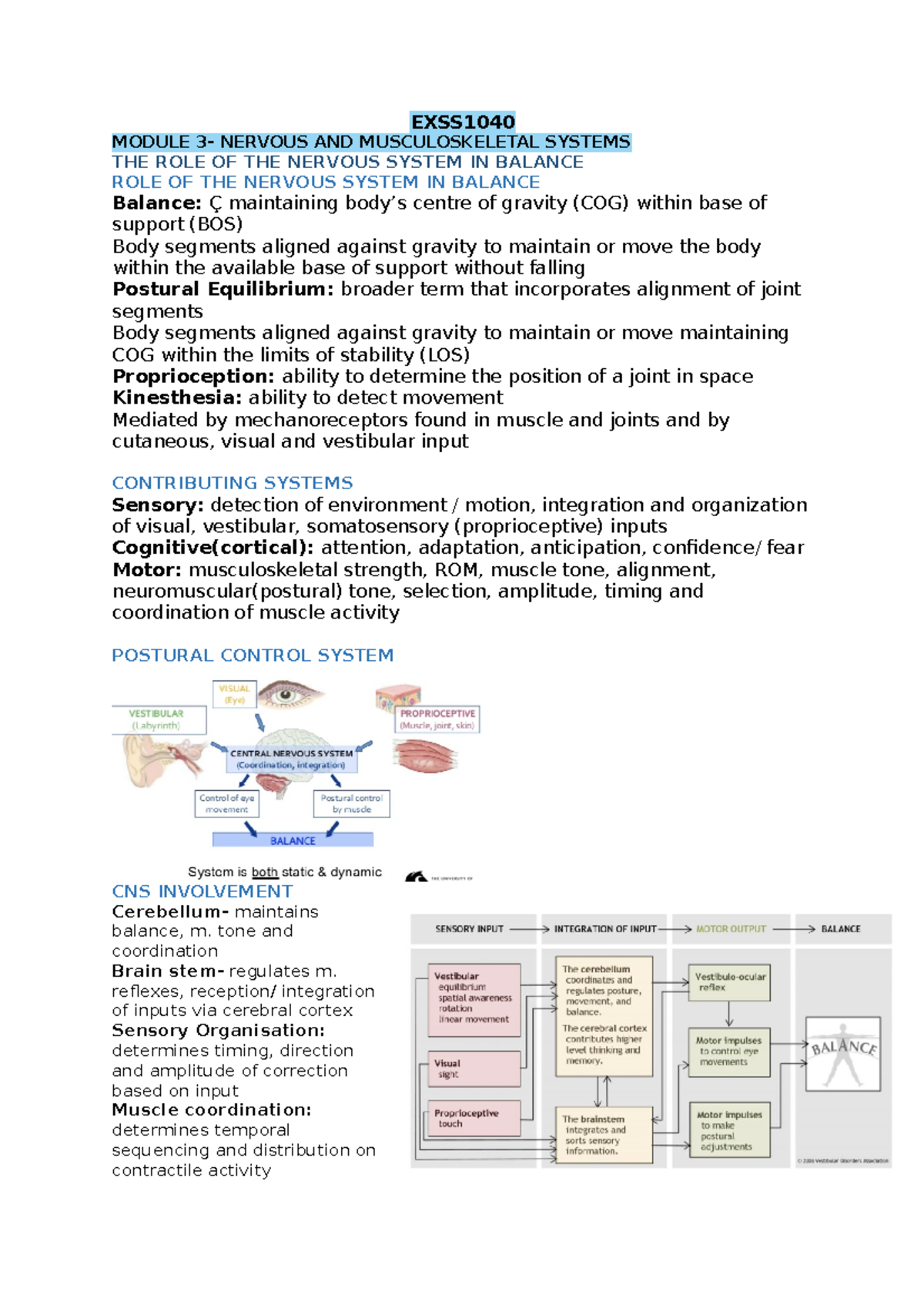 WEEK 3- Nervous and Musculoskeletal Systems - EXSS MODULE 3- NERVOUS ...