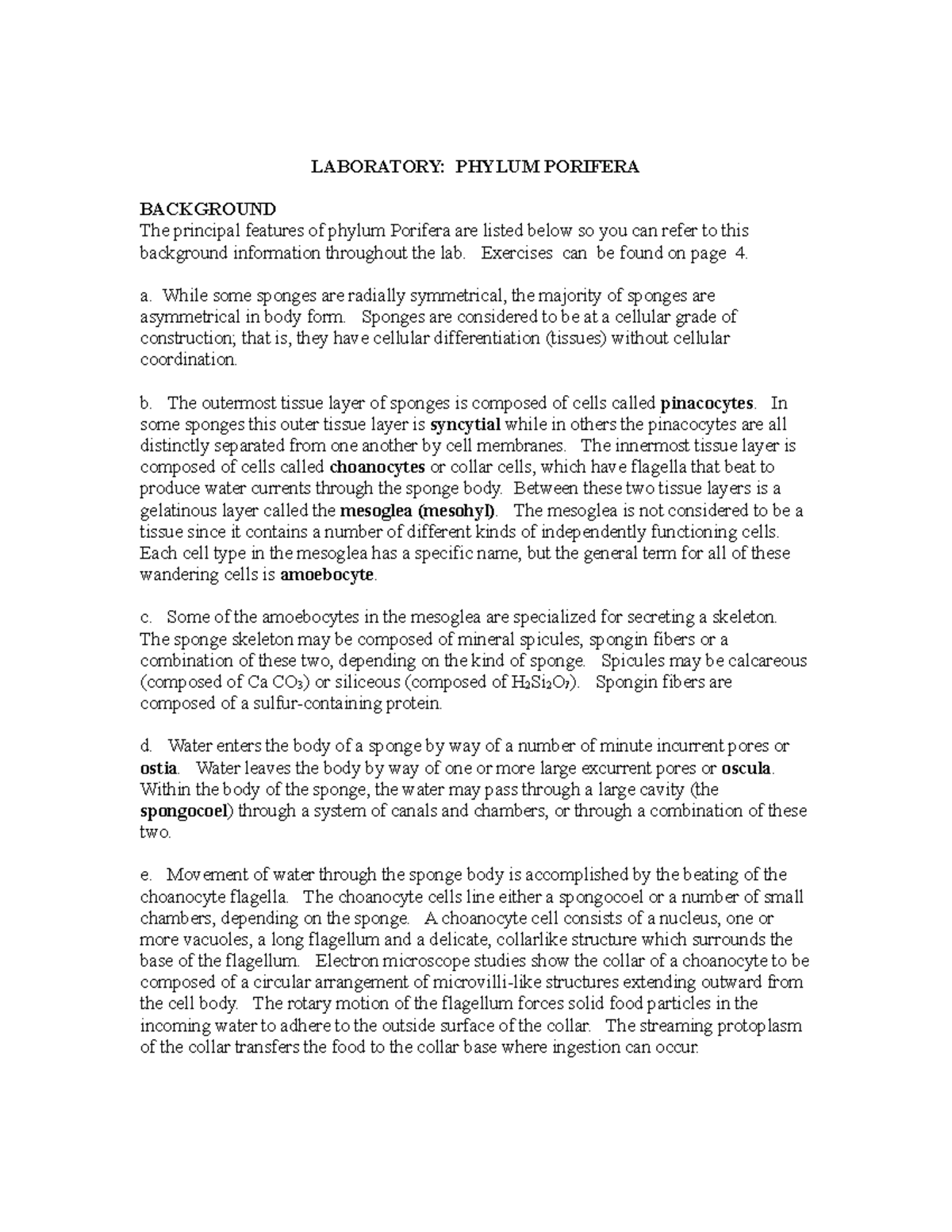 Labporifera 2012 - lab porifera - LABORATORY: PHYLUM PORIFERA ...