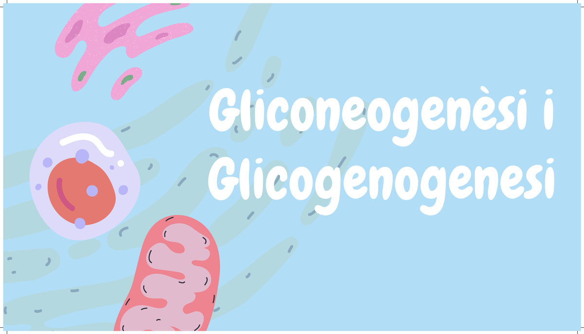 Bio - Apuntes de 2º de bachillerato - Gliconeogenèsi i Glicogenogenesi ...