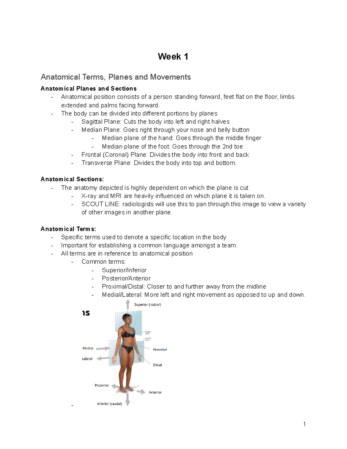 HS2300 WEEK 2 - Week 2 notes - Week 1 Anatomical Terms, Planes and ...