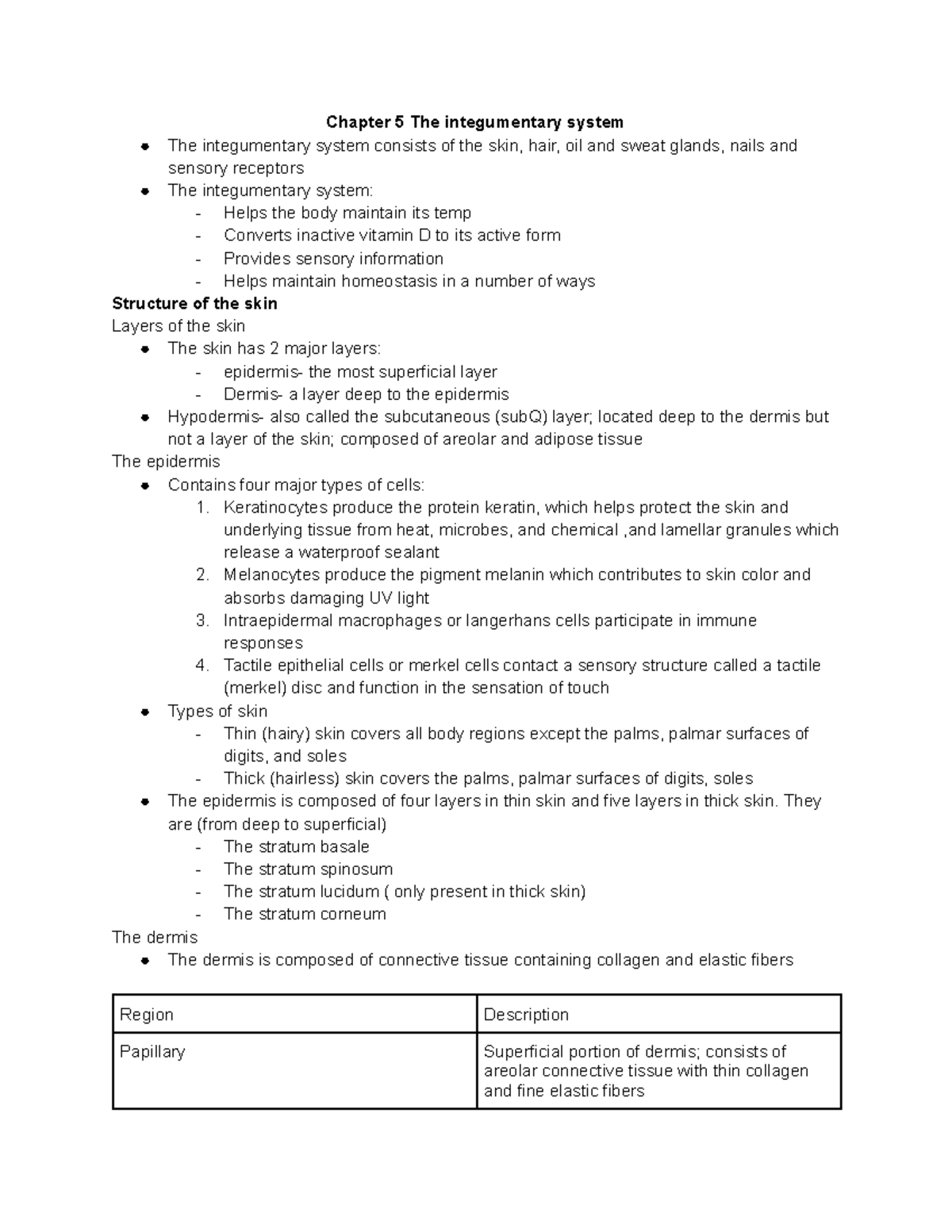 A&P chapter 5 - Chapter 5 The integumentary system The integumentary ...