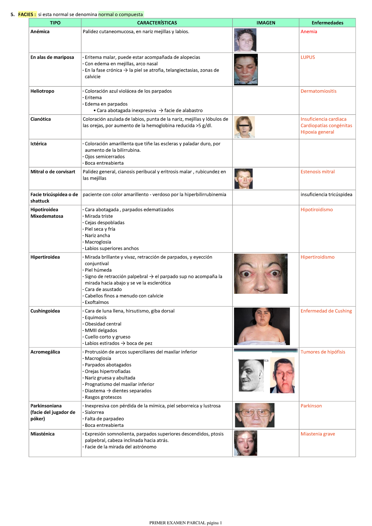 Facies si esta normal se denomina normal o compuesta - FACIES : si esta ...