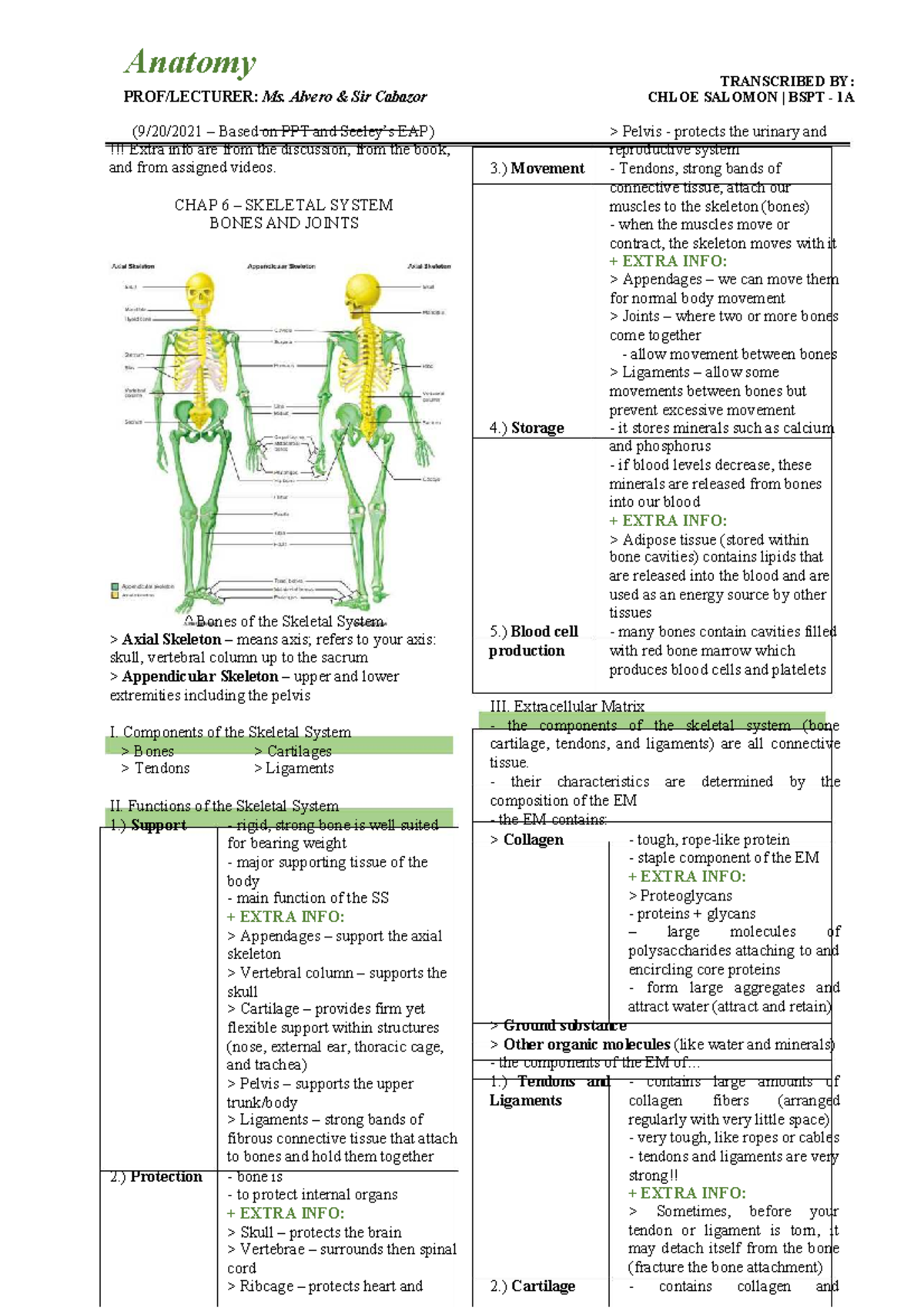 Transes-skeletal-system compress - Anatomy PROF/LECTURER: Ms. Alvero ...