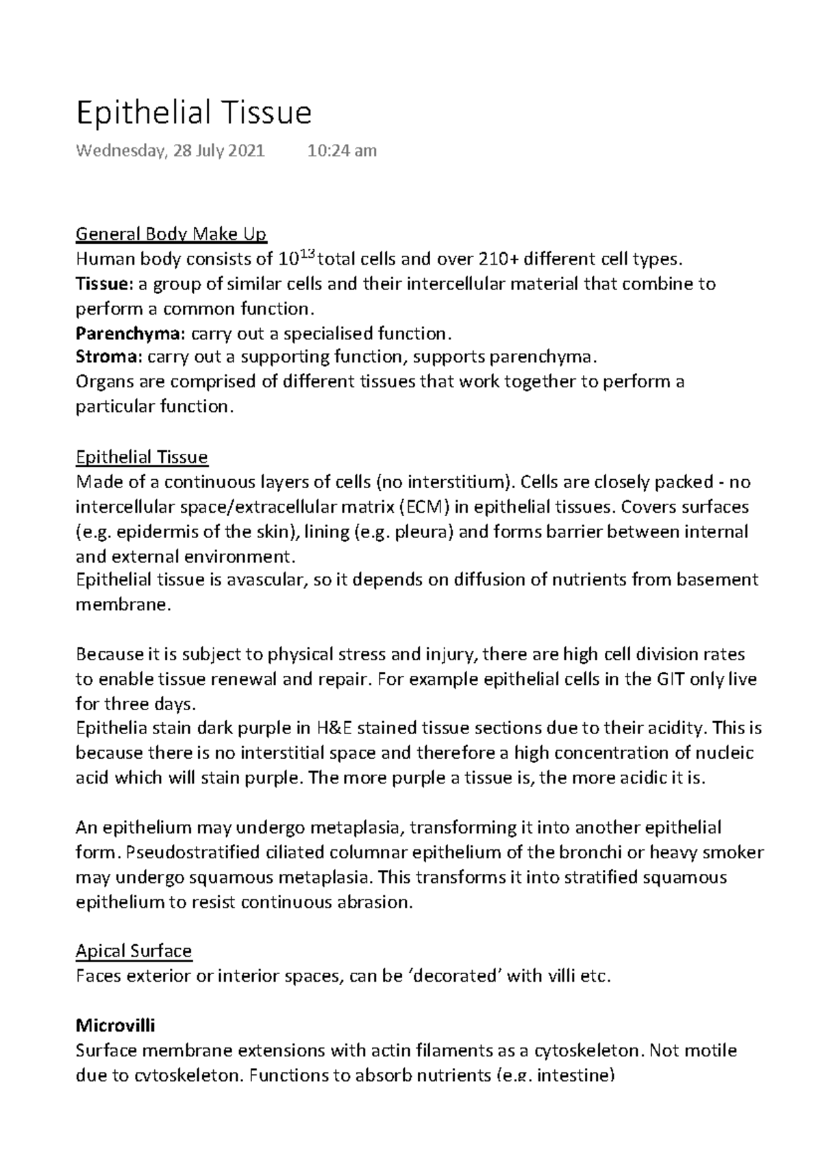 Epithelial Tissue Lecture Notes - General Body Make Up Human body ...