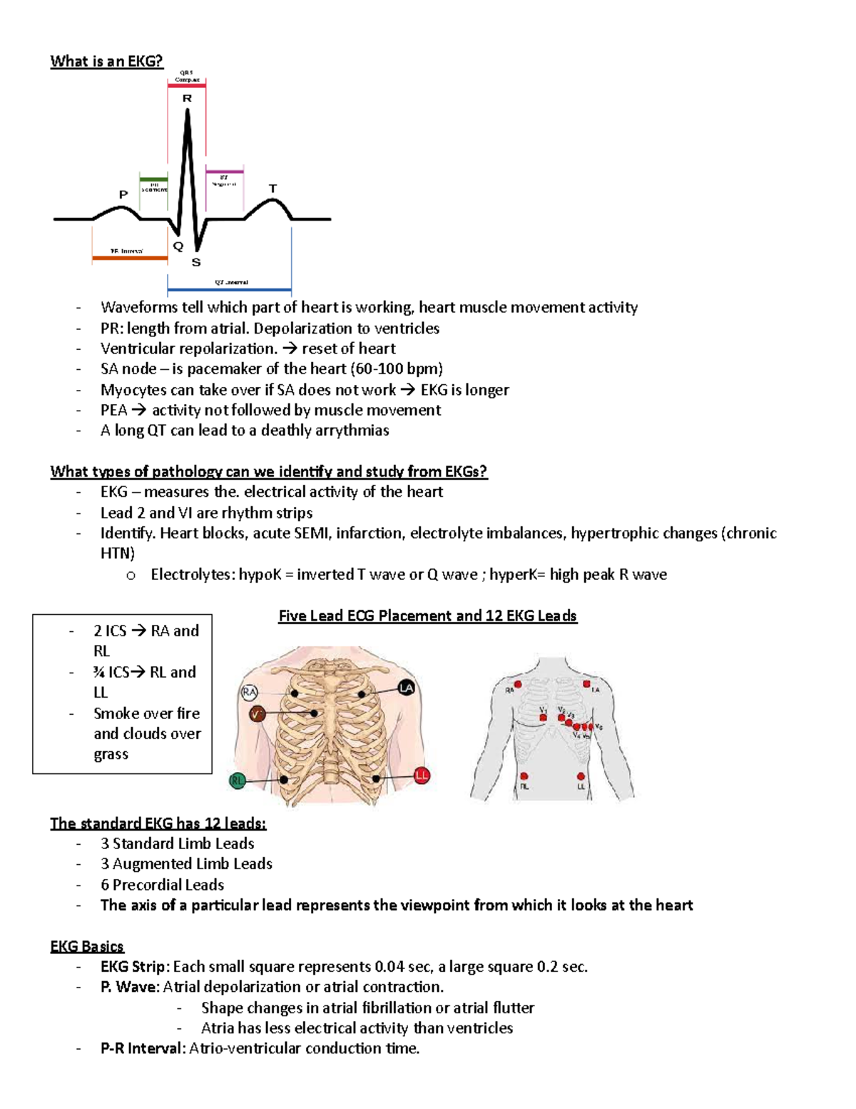 Roles exam 1 - What is an EKG? Waveforms tell which part of heart is ...