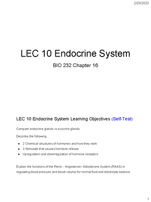 LEC 11 Endocrine Disorders Part 1 (2 Slides Per Page)-1 - LEC 11 Endocrine Disorders BIO 232 ...