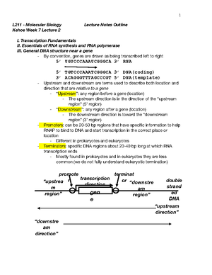 Week 14 Lecture Summary - Monday (11/21/22) How eukaryotic cells vary ...