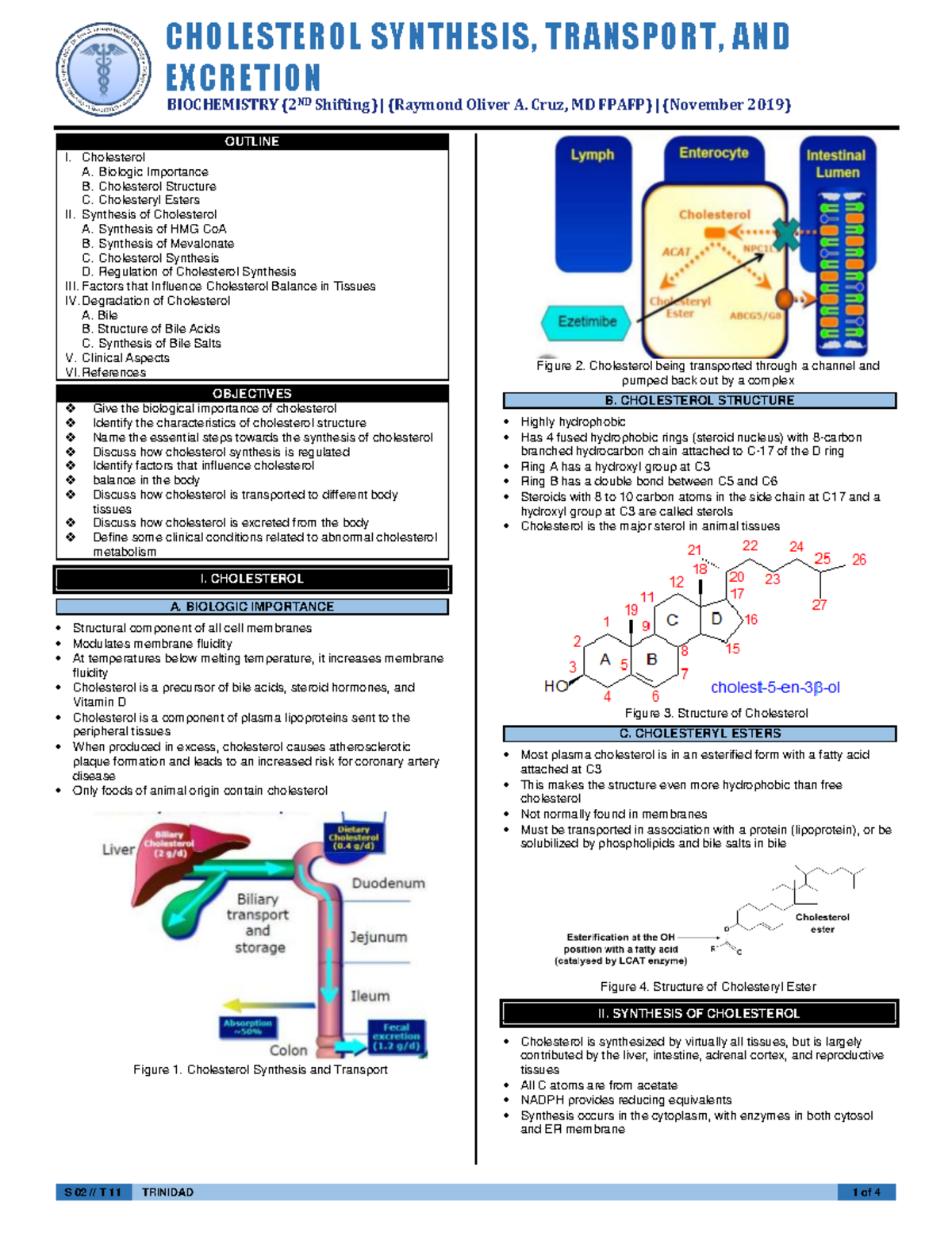 Cholesterol Synthesis, Transport, and Excretion - S 02 // T 11 TRINIDAD ...