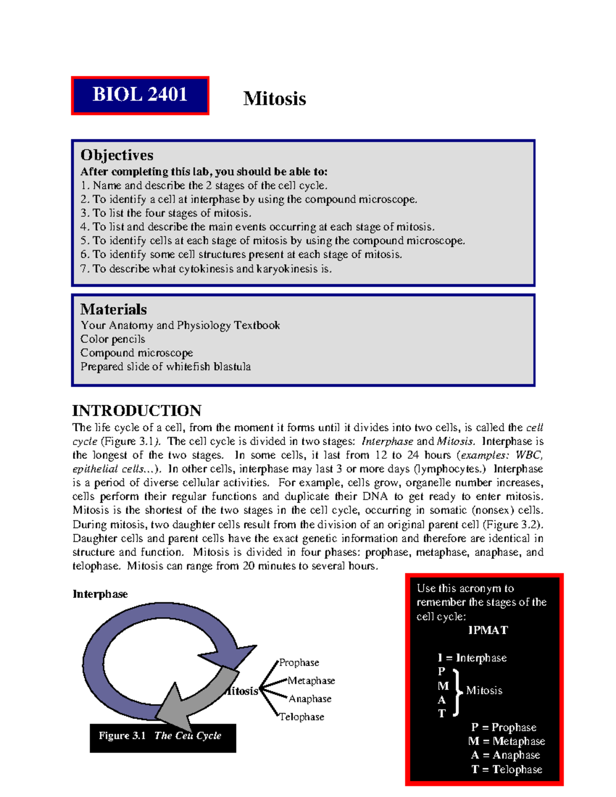 Mitosis - Mitosis INTRODUCTION The life cycle of a cell, from the ...