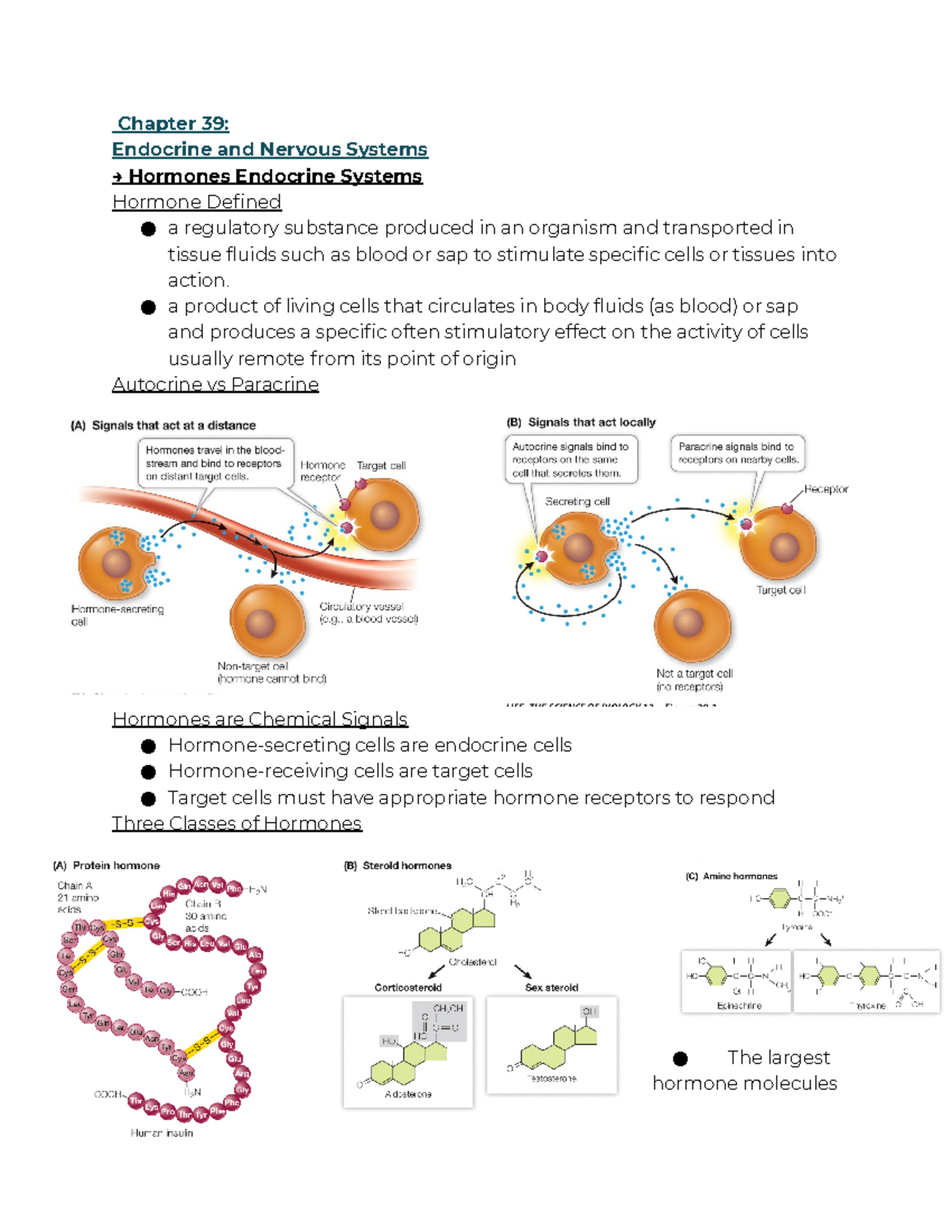 Lecture notes chapter 39 - Chapter 39: Endocrine and Nervous Systems → ...