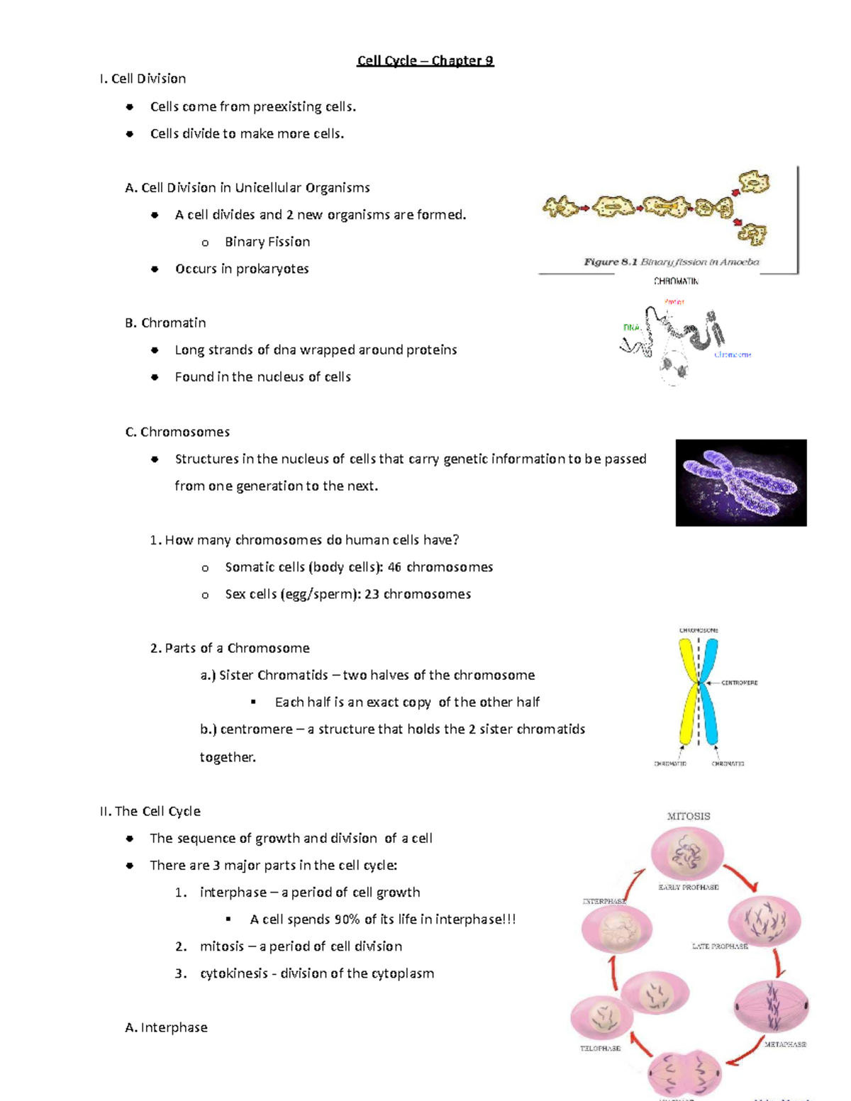 Copy of Fill in the blank Cell Cycle Notes.doc S22 - Cell Cycle ...