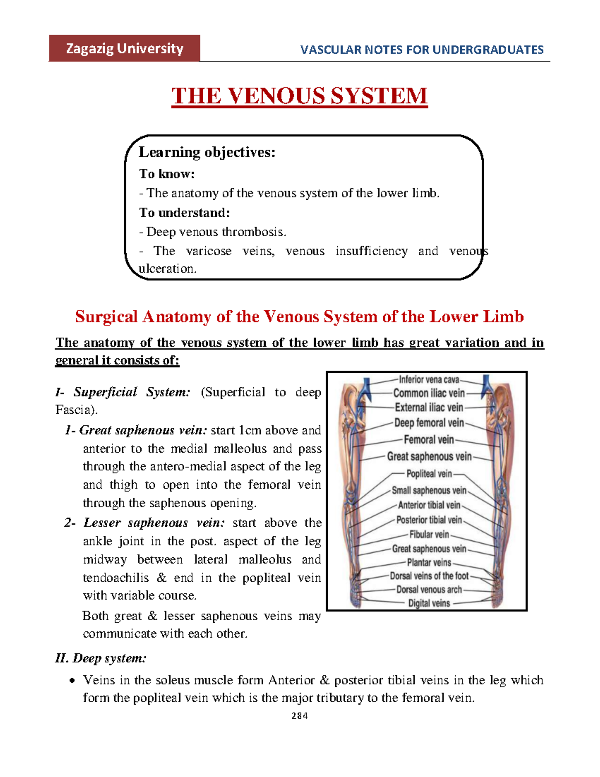 Cardio venous surgery - THE VENOUS SYSTEM Learning objectives: To know ...