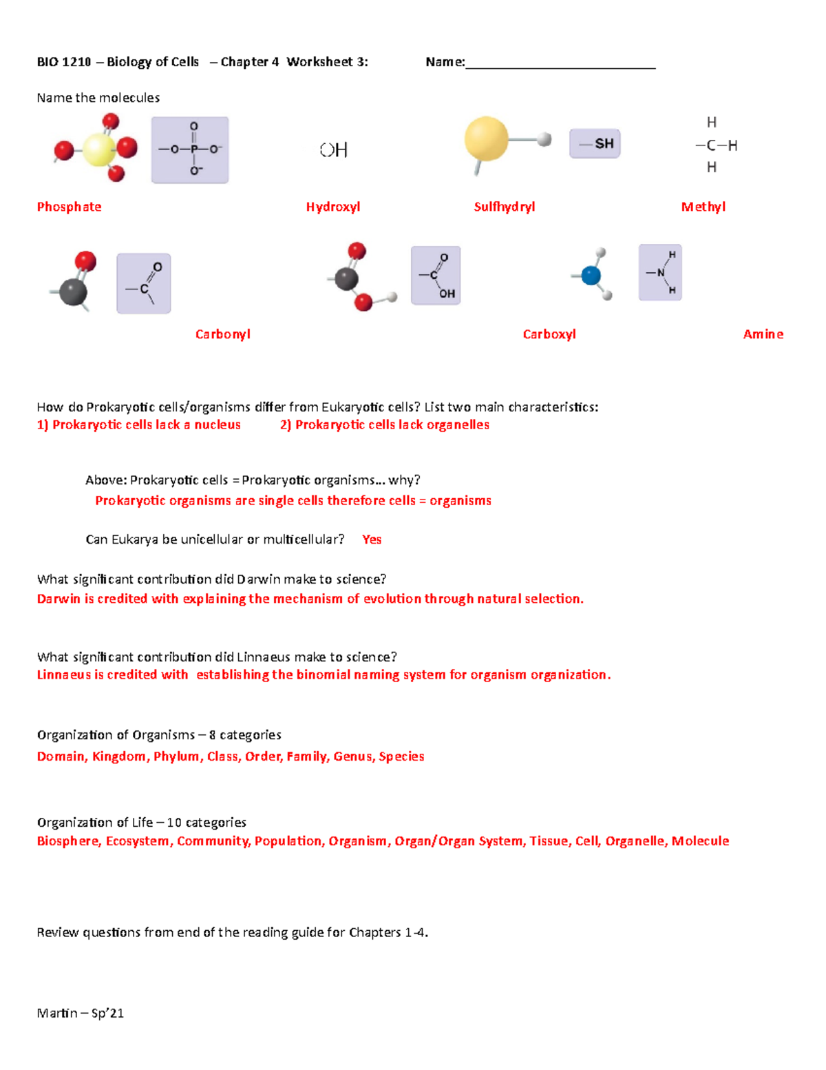 Chapter 4 Carbon - BIO 1210 – Biology of Cells – Chapter 4 Worksheet 3 ...