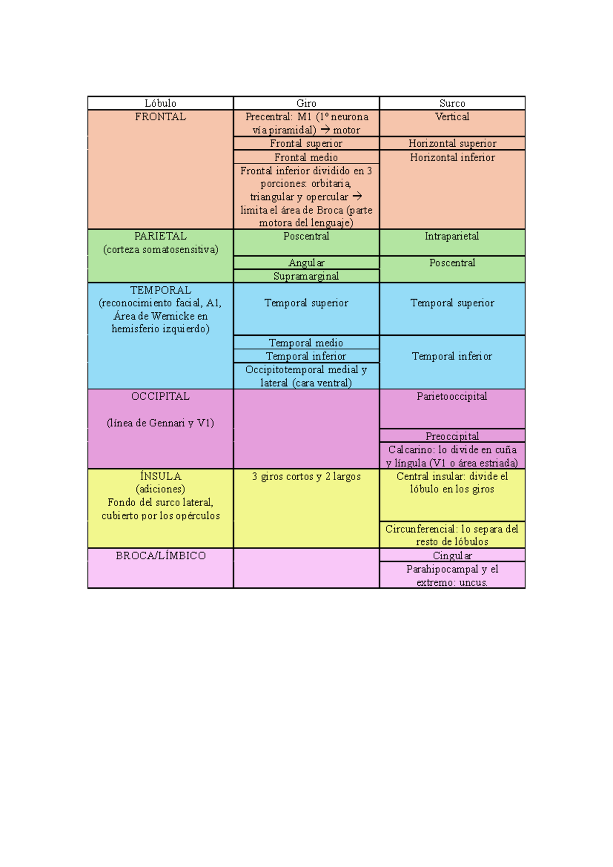 Resumen Lóbulos - Lóbulo Giro Surco FRONTAL Precentral: M1 (1º neurona ...