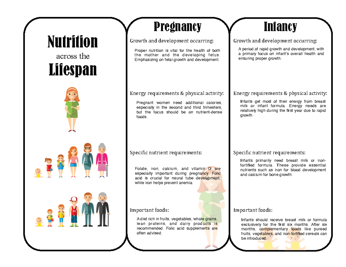 Nutrition Across Lifespan - Nutrition across the Lifespan Pregnancy ...