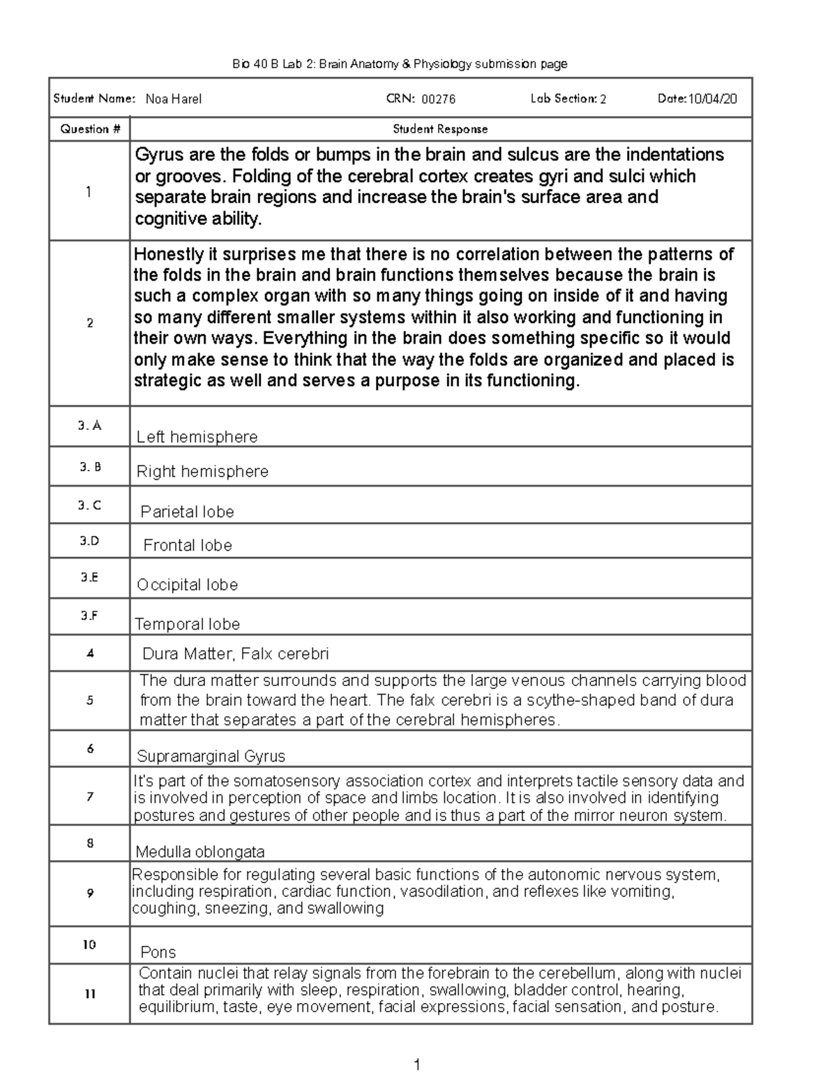 BIO 40 B Lab 2 submission Table - BIOL 40B - Bio 40 B Lab 2: Brain ...