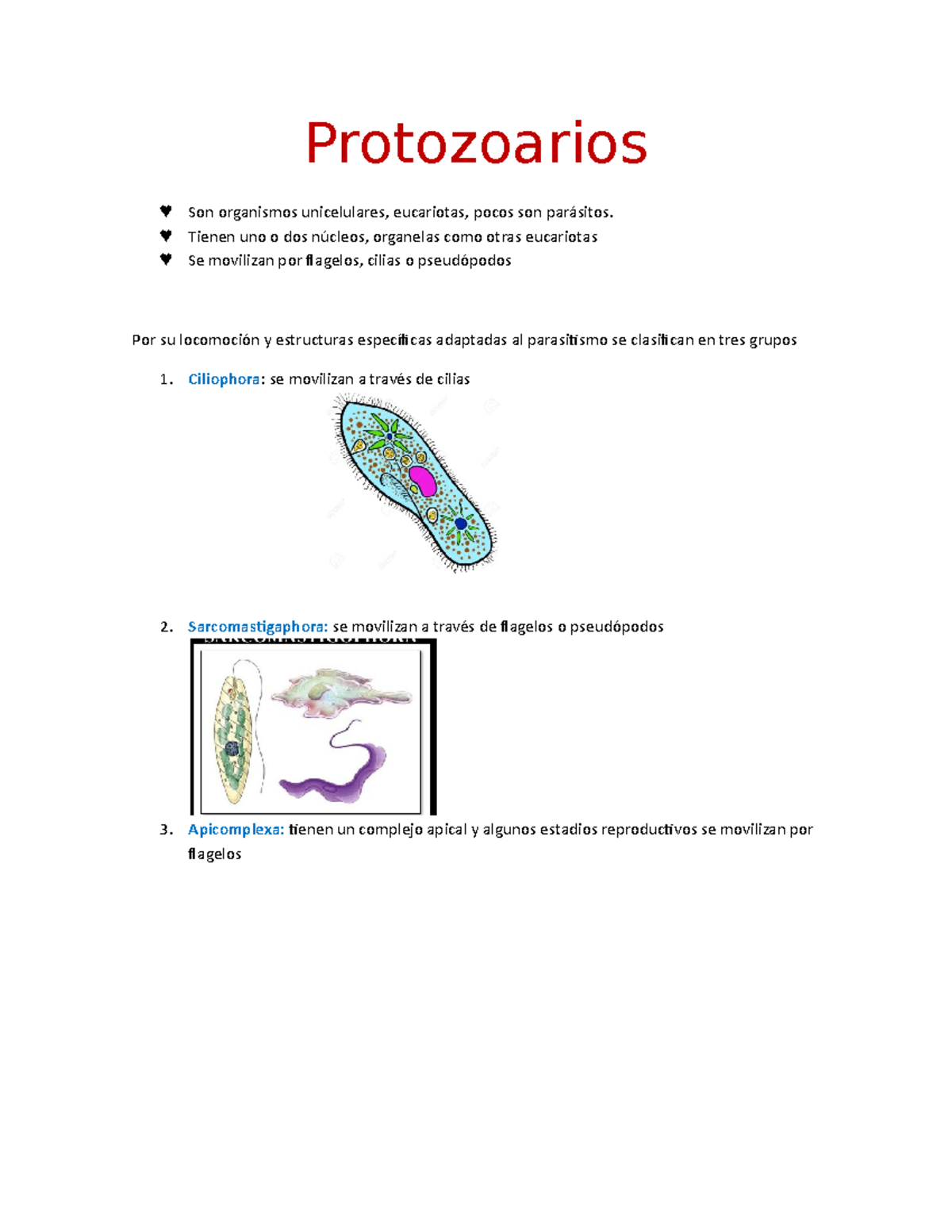 Protozoarios - resumen protozoos - Protozoarios Son organismos ...