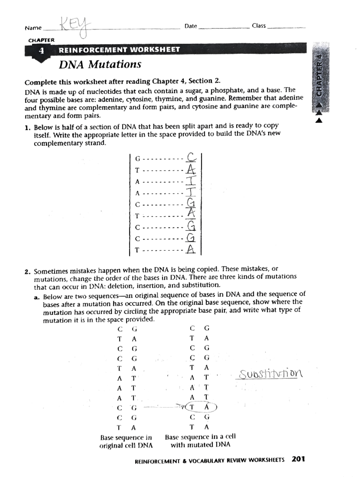 DNA mutations KEY - when tbe impostor is sus ggvh gh b - Name Date ...