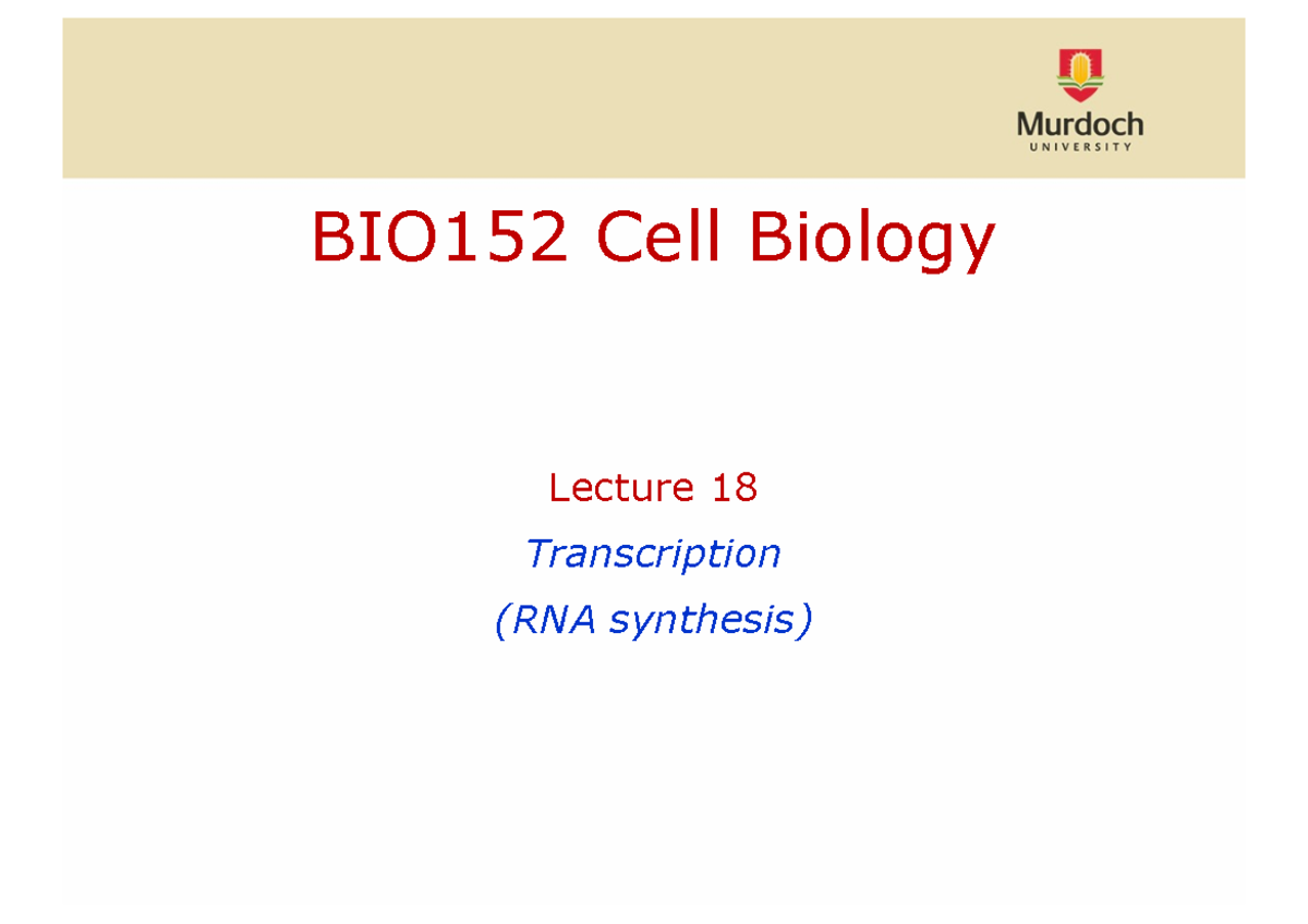 BIO152 Lecture 19 Transcription 2021 - summary data - BIO152 Cell ...