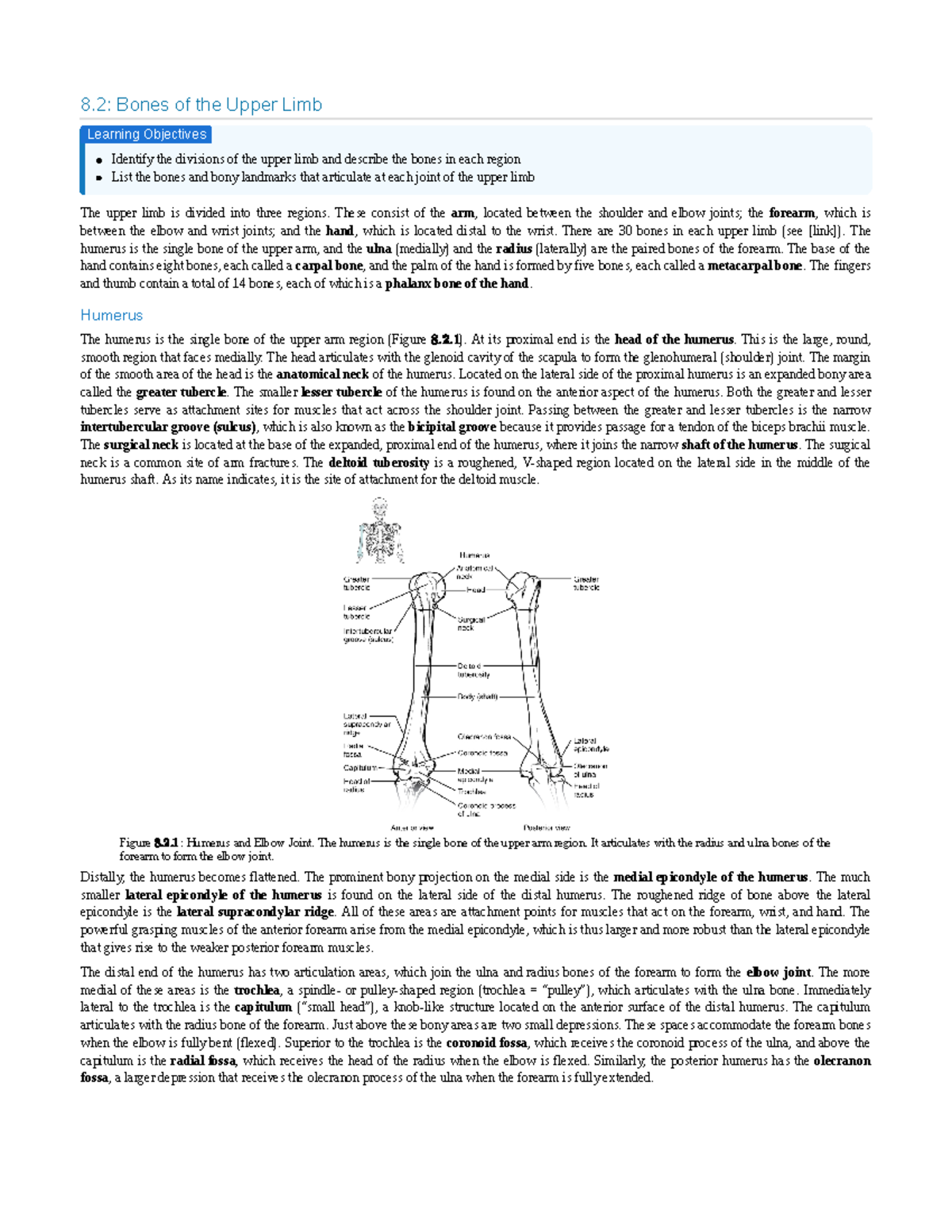 8.2 Bones of the Upper Limb - 8: Bones of the Upper Limb Identify the ...