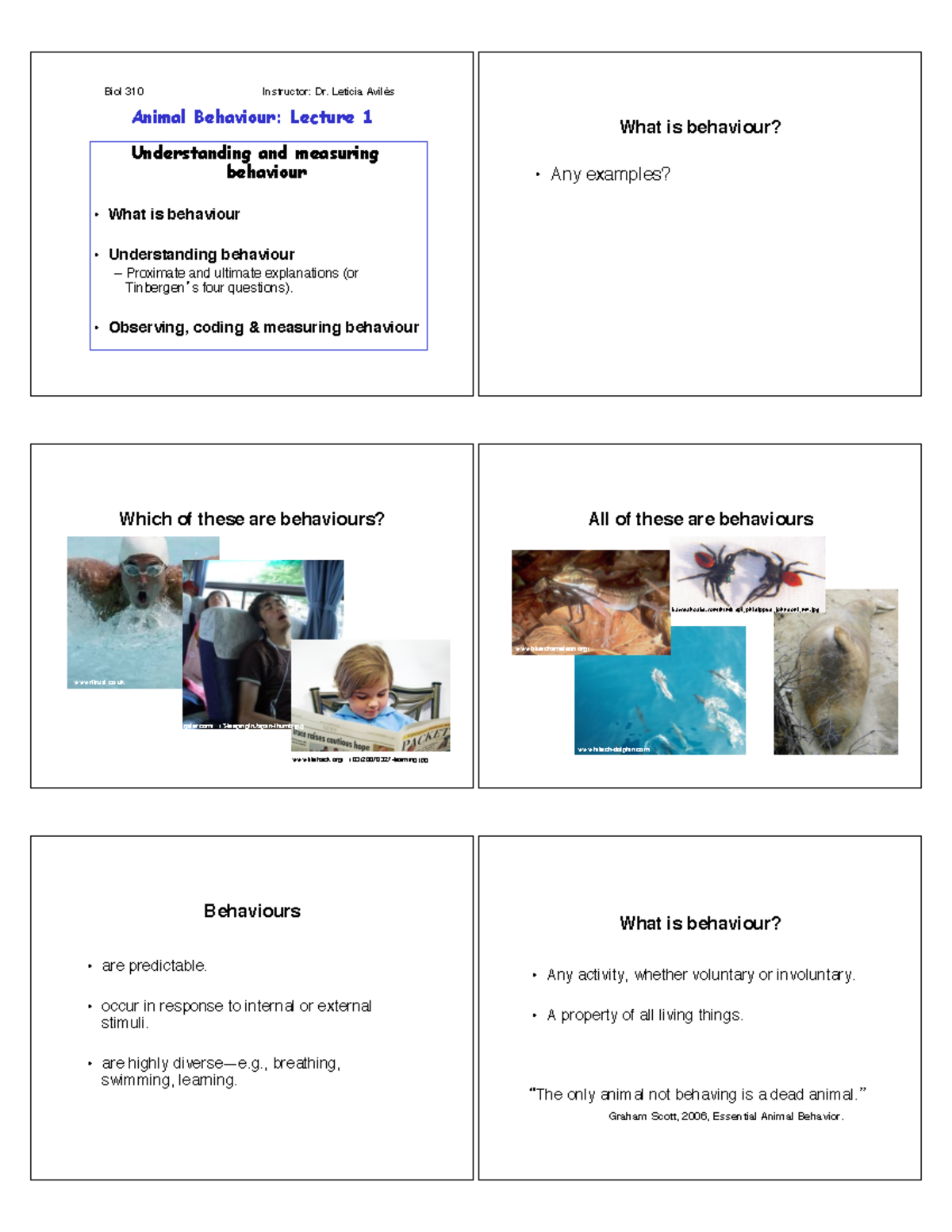 Lect01.Understanding Behaviour - Animal Behaviour: Lecture 1 ...