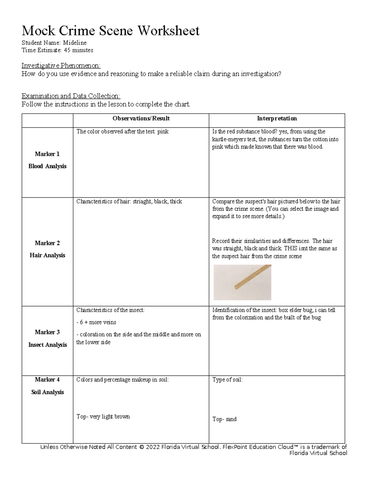 02 07 mock crime scene worksheet - Mock Crime Scene Worksheet Student ...