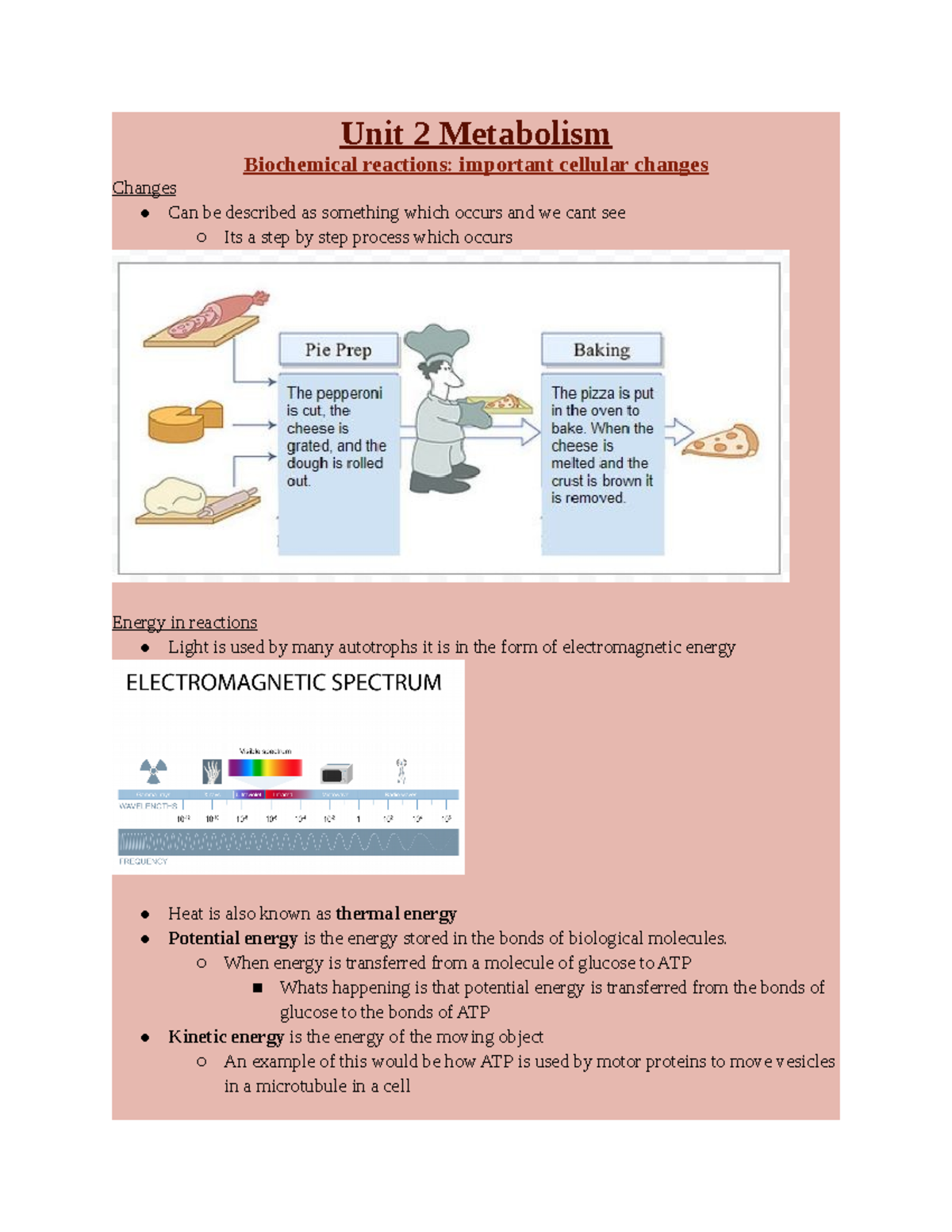 SBI4U0 Unit 2 theory Notes - Unit 2 Metabolism Biochemical reactions ...