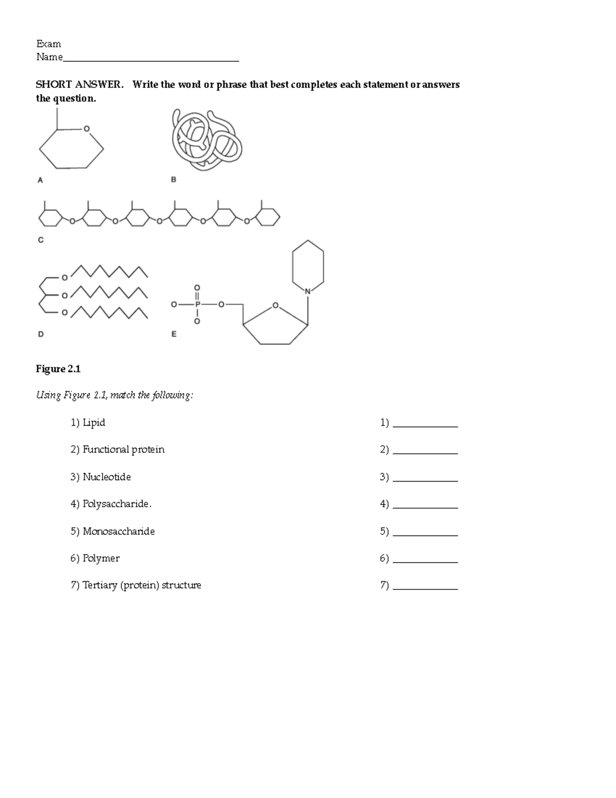 Ch 02 Chapter 2 Test Bank Exam Name