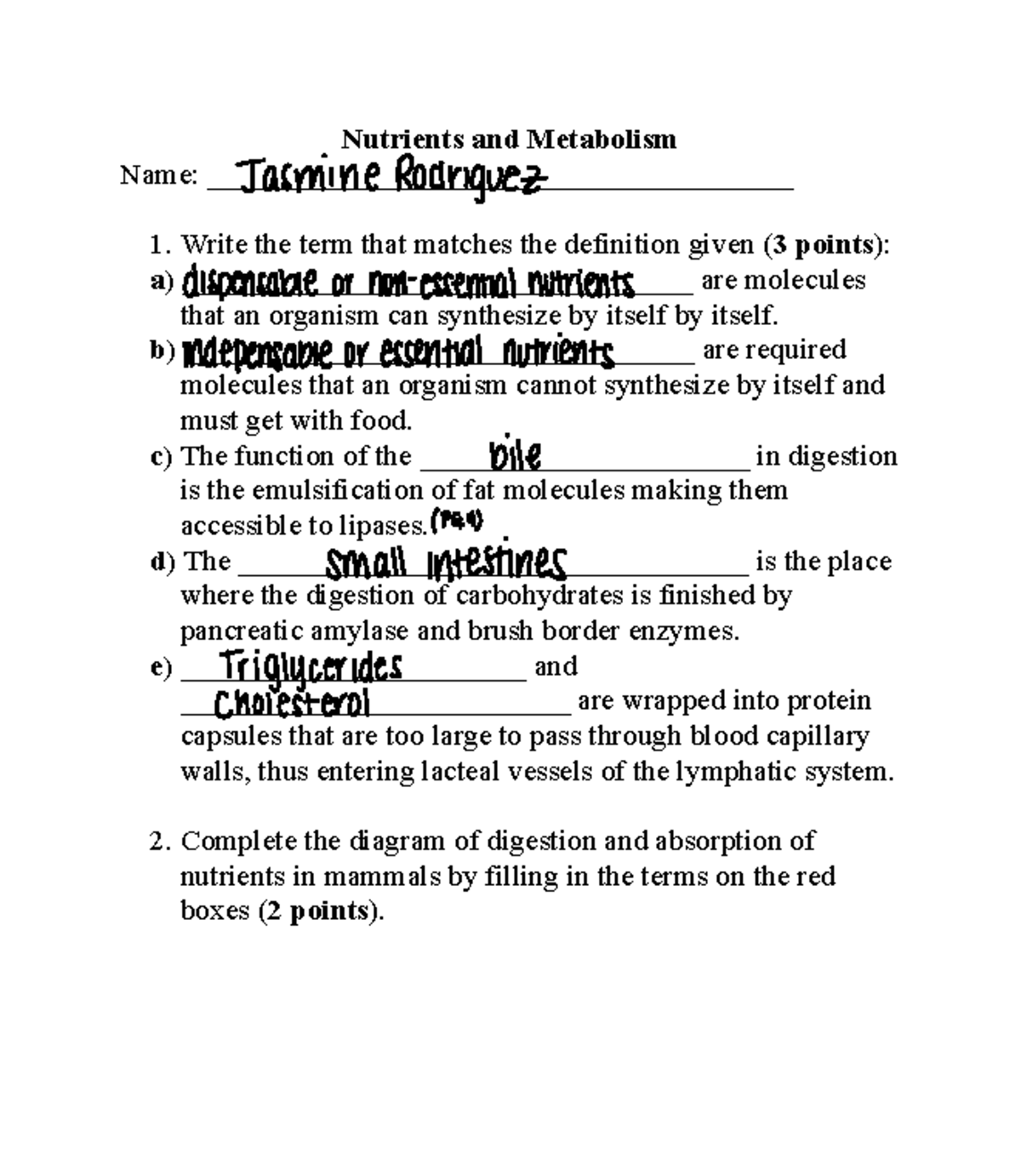 Nutrients and metabolism activity - Nutrients and Metabolism Name ...