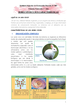 Secuencia ciencias nat seres vivos - SECUENCIA DE CIENCIAS NATURALES ...