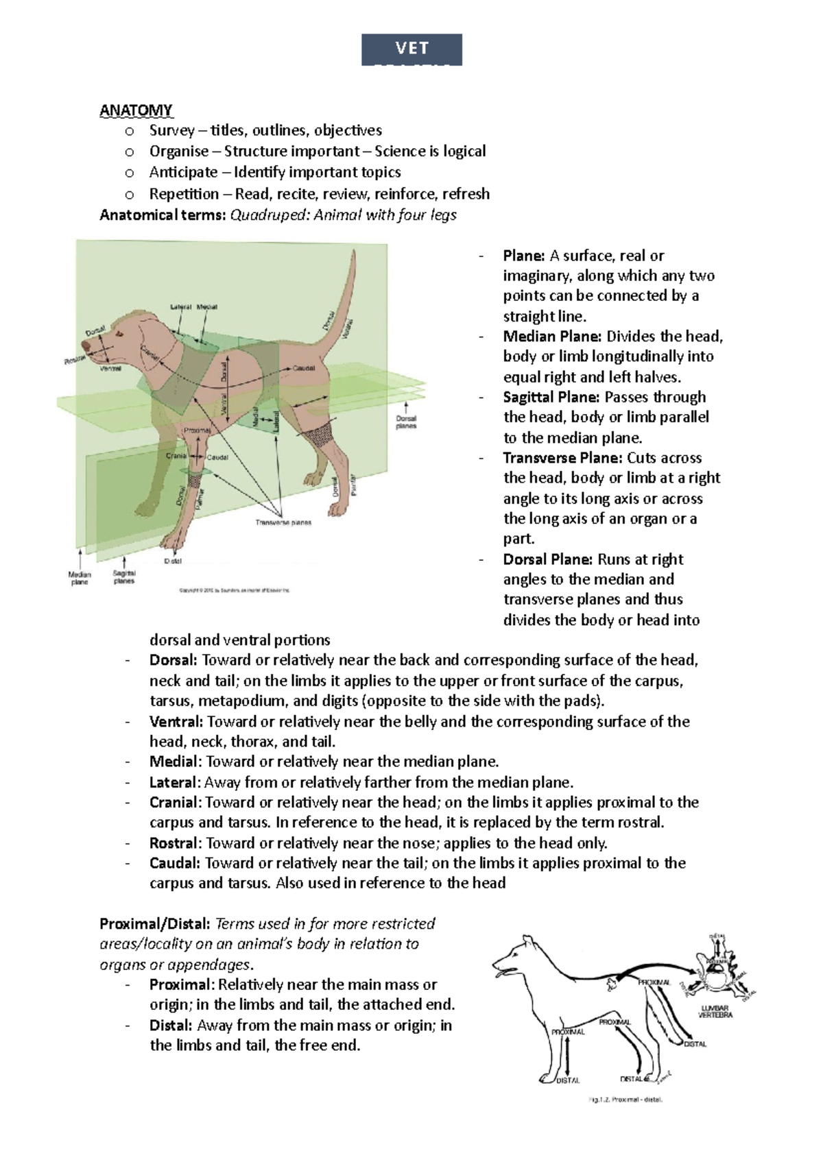 Vet practice 1 notes - ANATOMY o Survey – titles, outlines, objectives ...