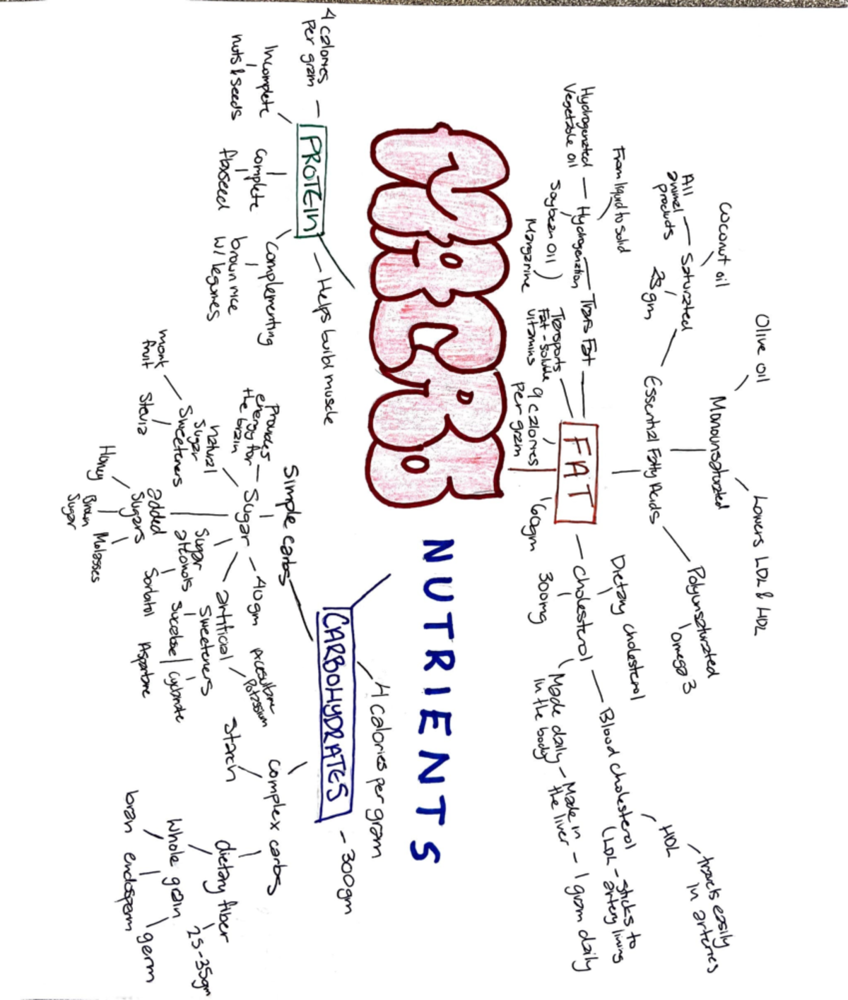 Nutrition and Health - Mind Map - J.:::,>,.. 1111::1rao1 - Studocu