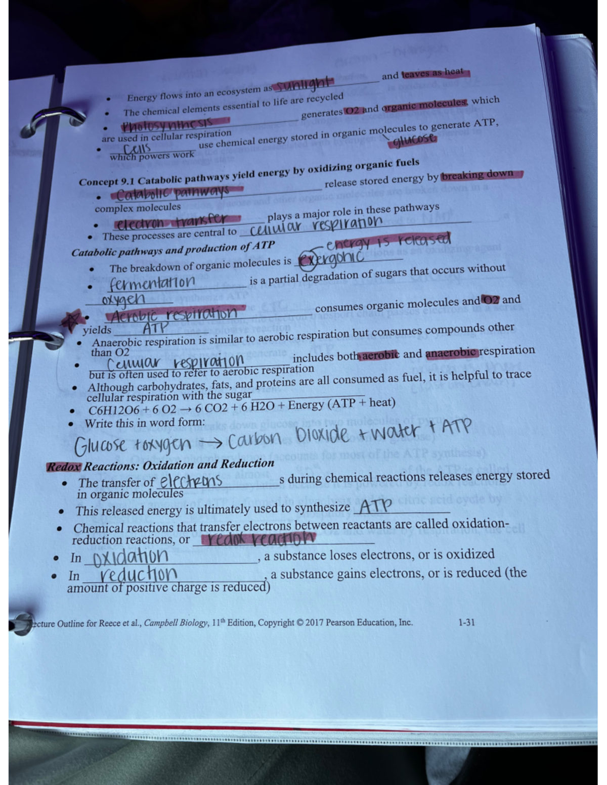 29 - biology lecture notes - BIO1134 - Studocu