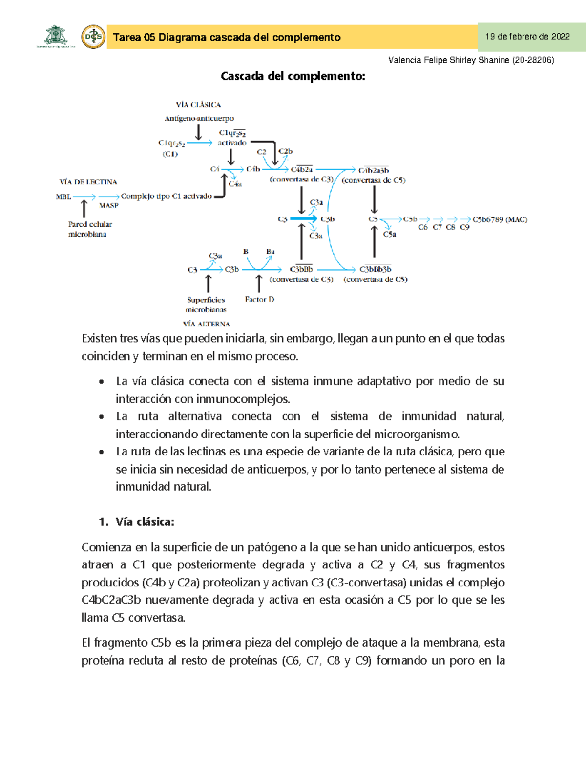 05 Diagrama cascada del complemento - Tarea 05 Diagrama cascada del complemento Vence hoy a las ...