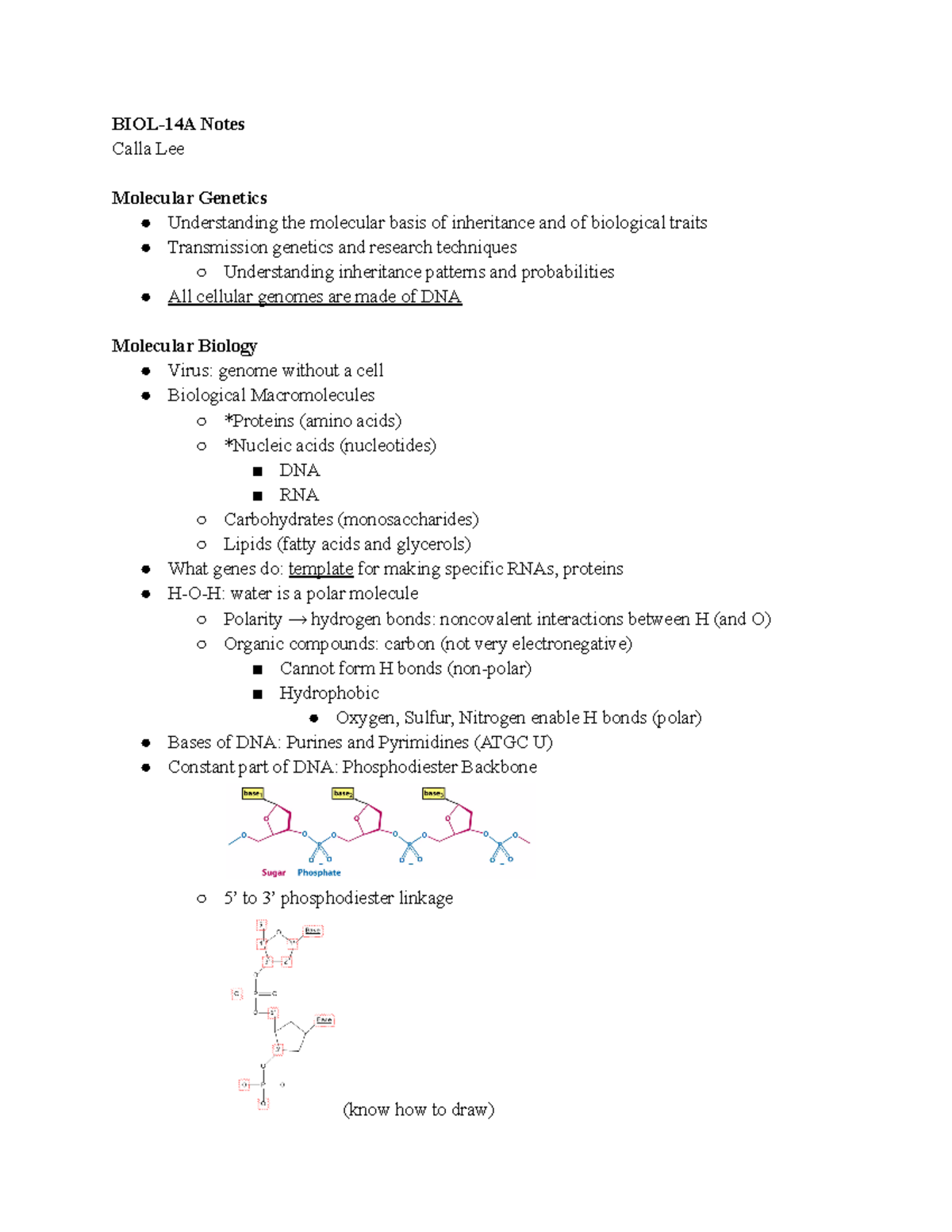 BIOL-14A Notes - Rachel Woodruff, Spring 2022 - BIOL-14A Notes Calla ...
