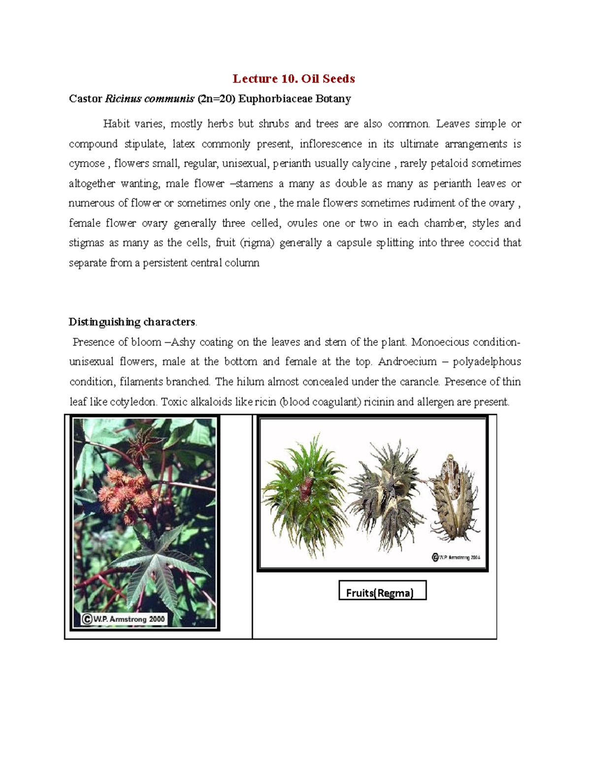Botanical description and floral biology of oilseeds - Lecture 10. Oil ...
