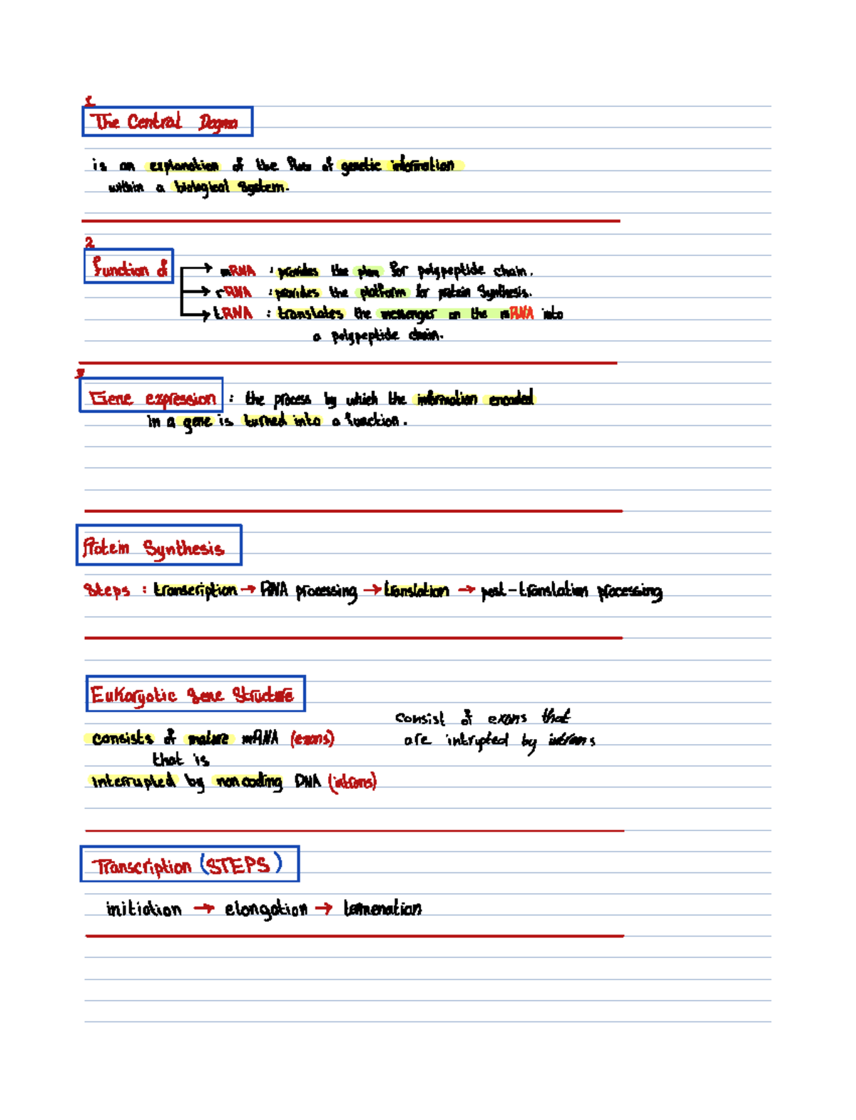 Molecular biology important notes - TheCentral Dogma is an explanation ...