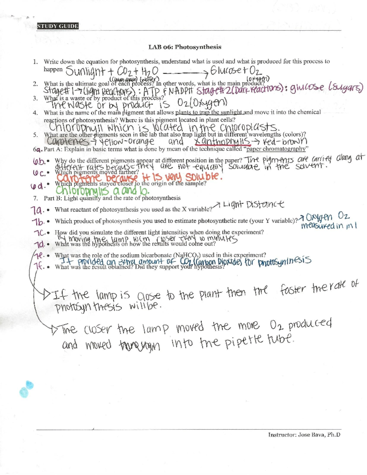 Photosynthesis Study Guide - BIOLOGY3 - Studocu