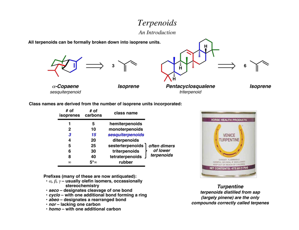 Terpenes-handout - Isoprene to Terpenoids Isoprene units can (formally ...