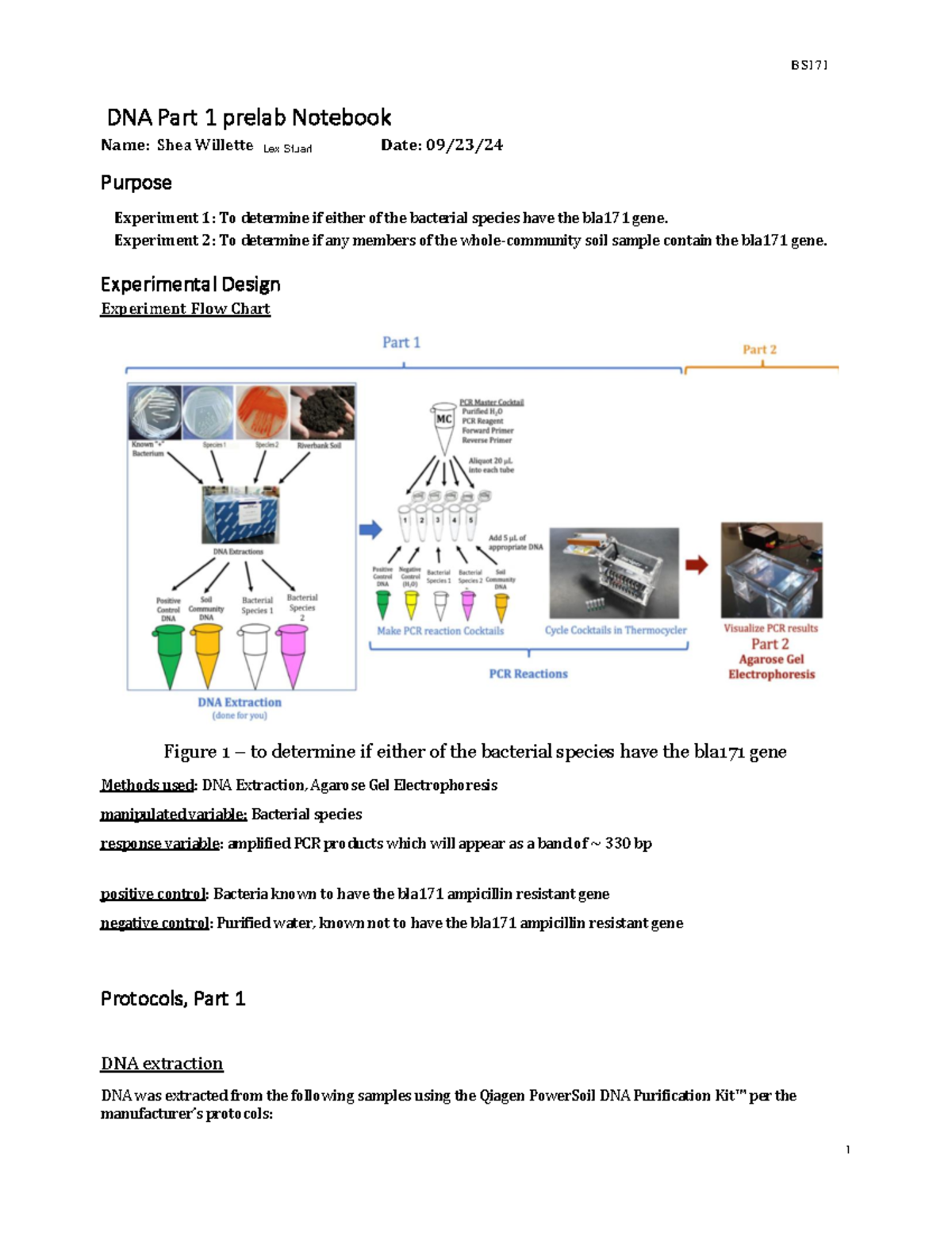 PRELAB NOTEBOOK 1 - DNA Part 1 prelab Notebook Name: Shea Willette Date ...