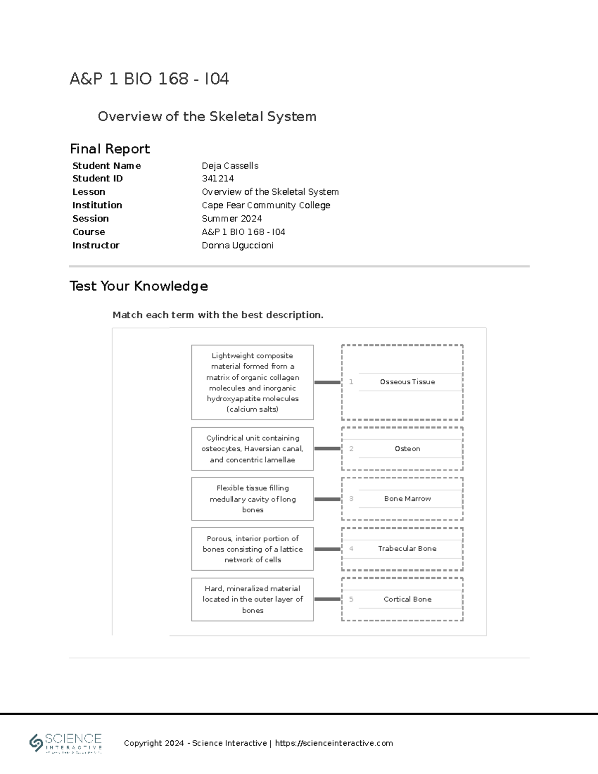 Overview of the skeletal system To help learn more about the skeleton ...