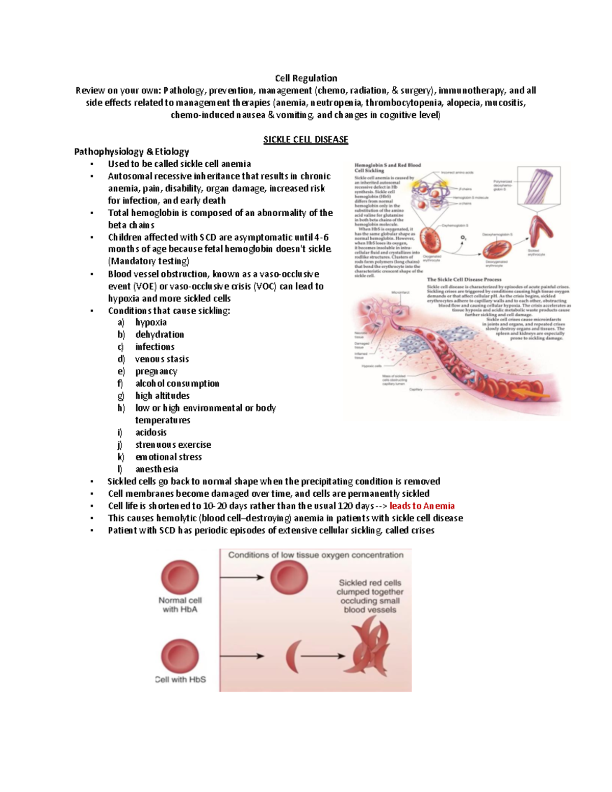 Cell Regulation Part 1 - Cell Regulation Review on your own: Pathology ...