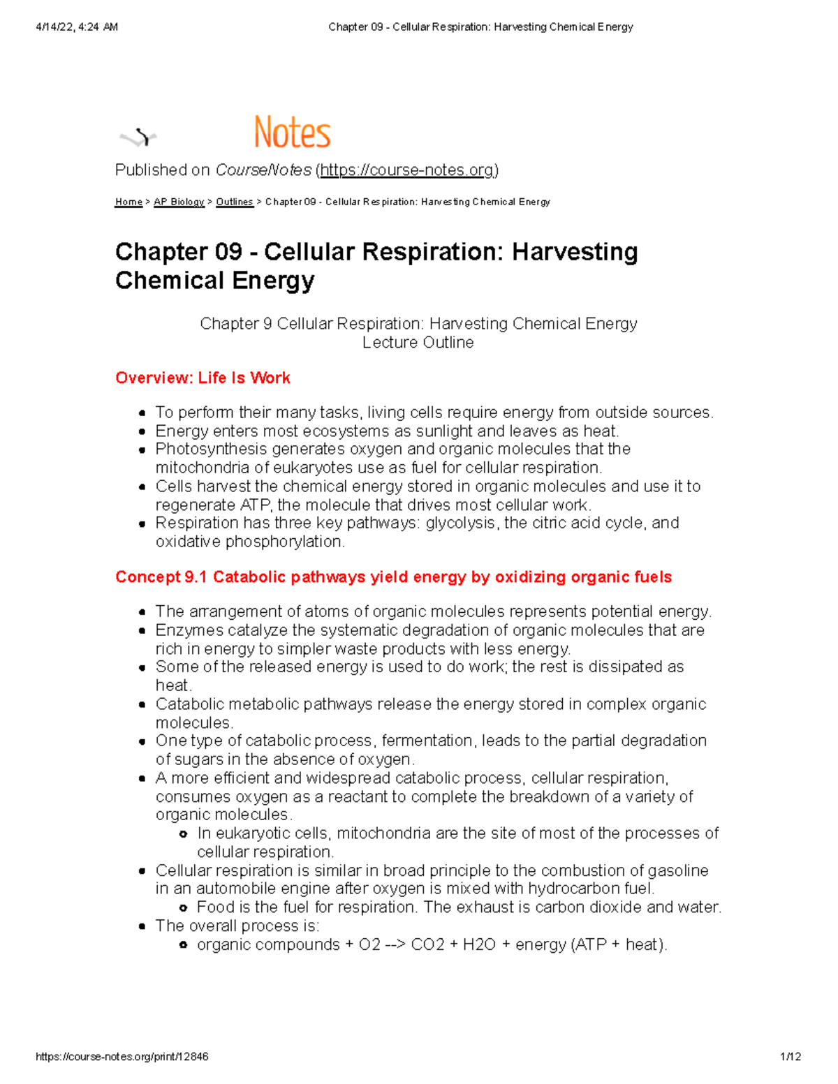 Chapter 09 - Cellular Respiration Harvesting Chemical Energy - BIO 202 ...