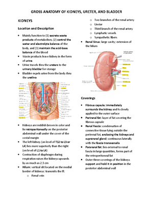 Gross Anatomy: Ears - EAR Dr. Rex Barza (092821) Ear consists of the ...
