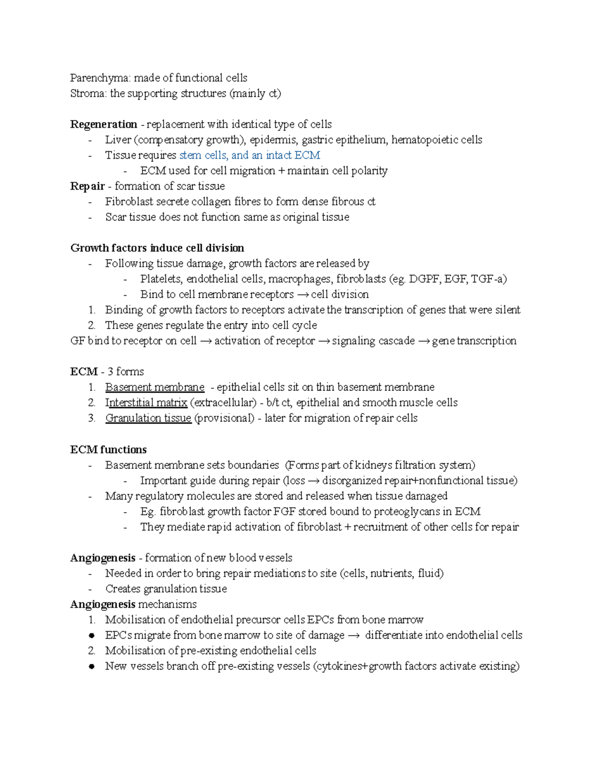 Ch. 3b Repair - Janaina Brusco - Parenchyma: made of functional cells Stroma: the supporting ...