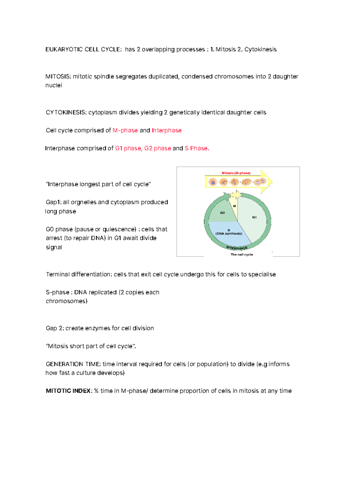 Cell cycle - EUKARYOTIC CELL CYCLE: has 2 overlapping processes : 1 ...